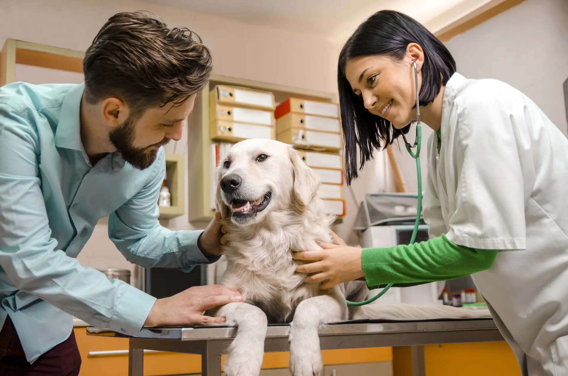 Our Team | Ermineskin Veterinary Hospital